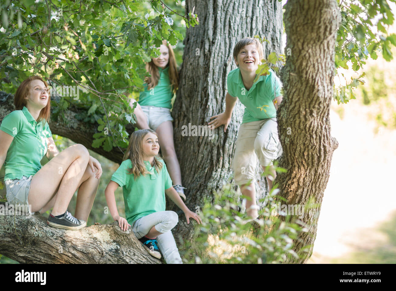 Four children watching something in a tree Stock Photo - Alamy