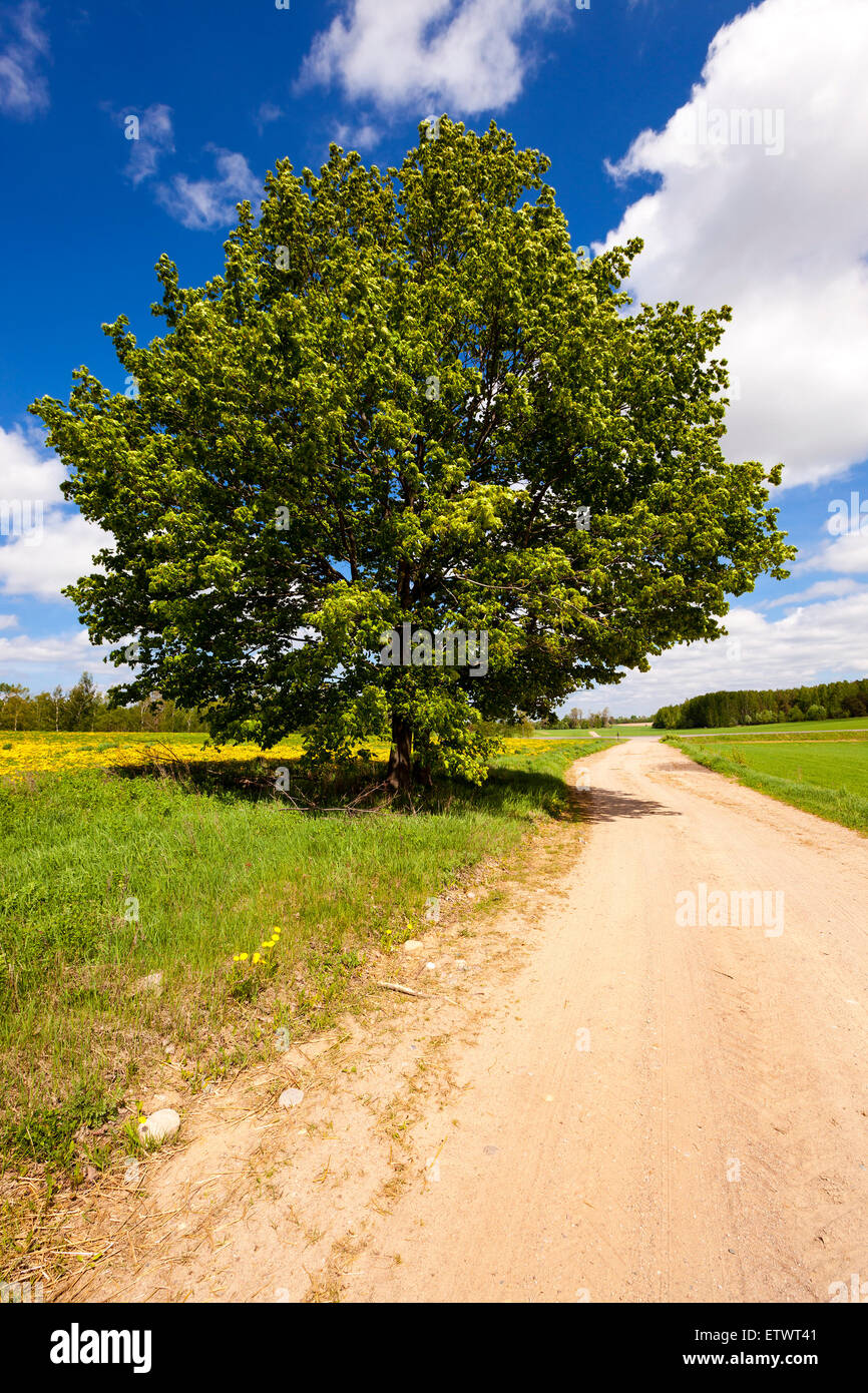 the rural road Stock Photo - Alamy