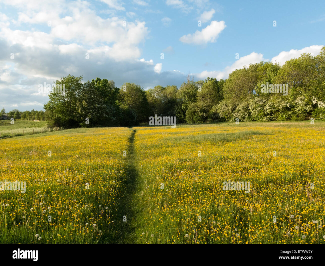 The parks trust hi-res stock photography and images - Alamy