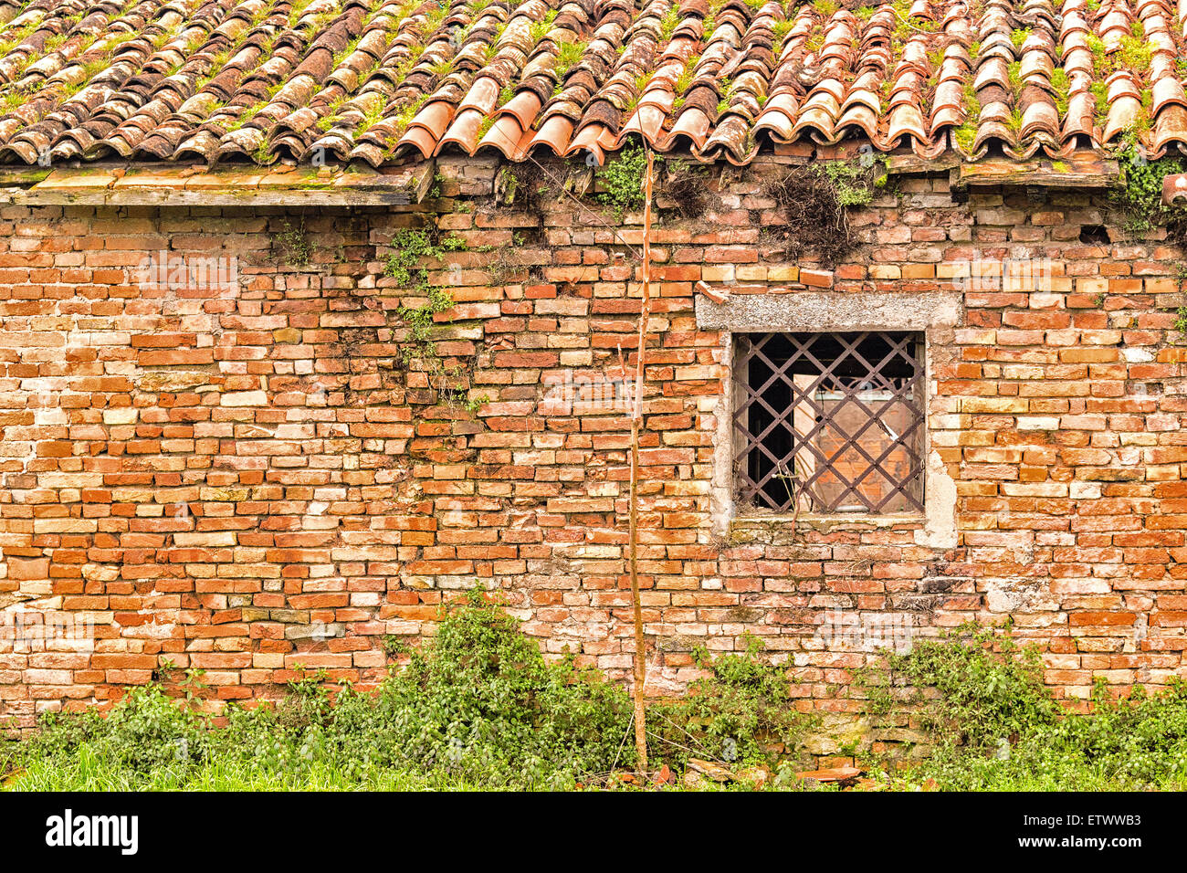 Window with lozenge shaped rusty grate in brick wall of ruined house in ...