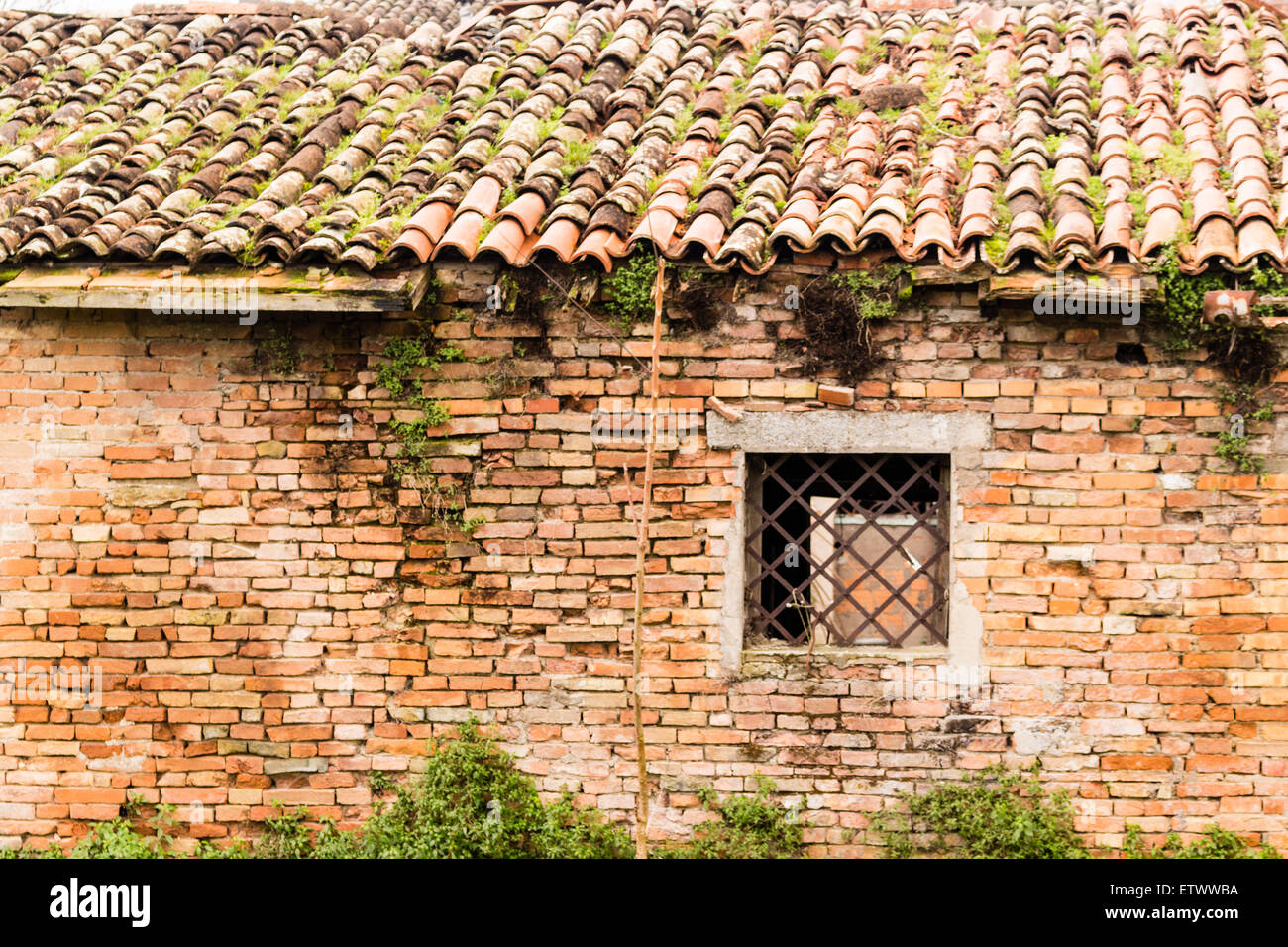 Window with lozenge shaped rusty grate in brick wall of ruined house in ...