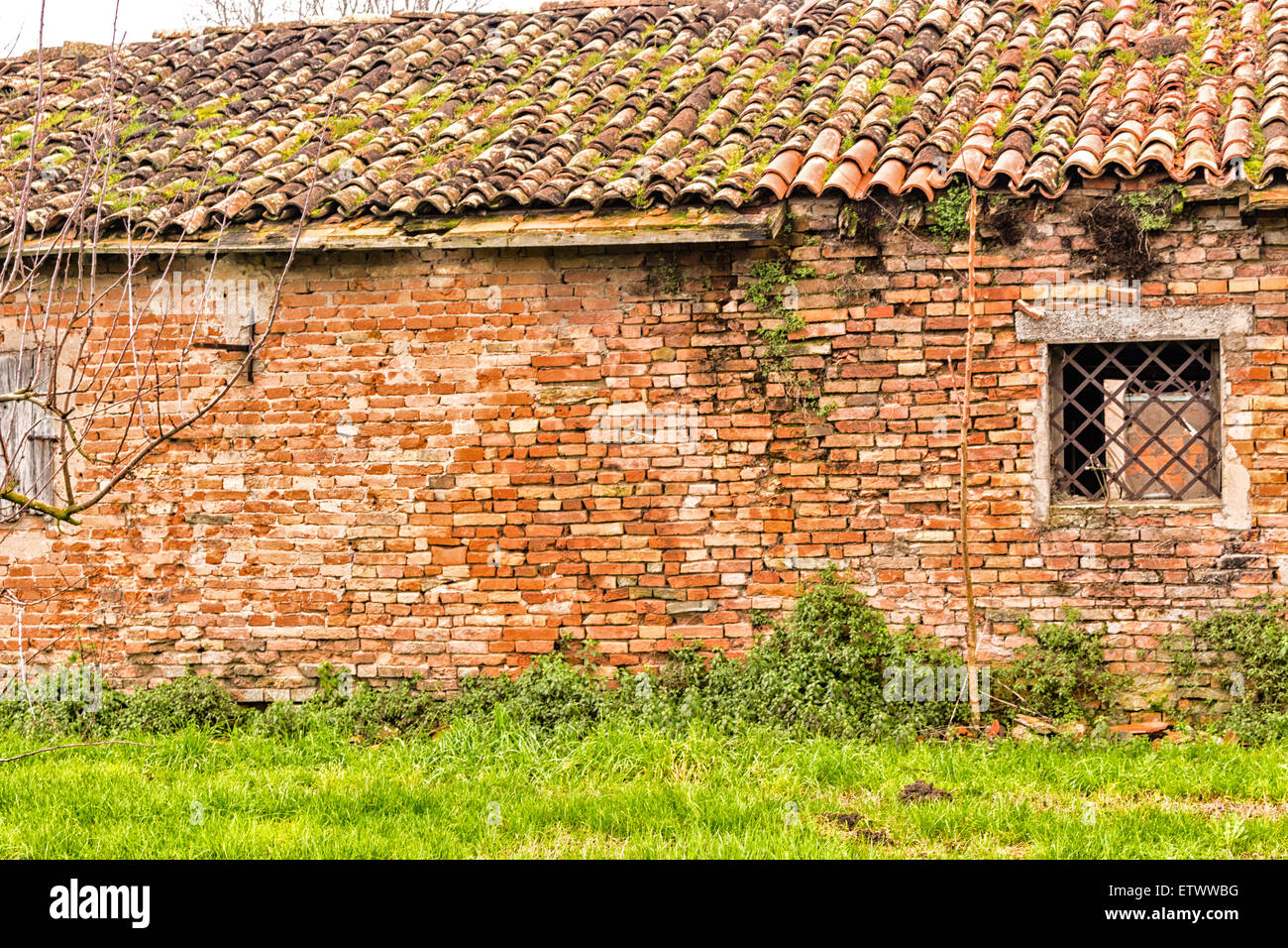 Window with lozenge shaped rusty grate in brick wall of ruined house in ...
