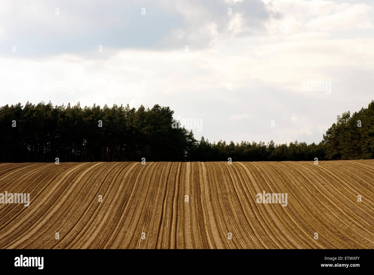 Grooves and furrows hi-res stock photography and images - Alamy