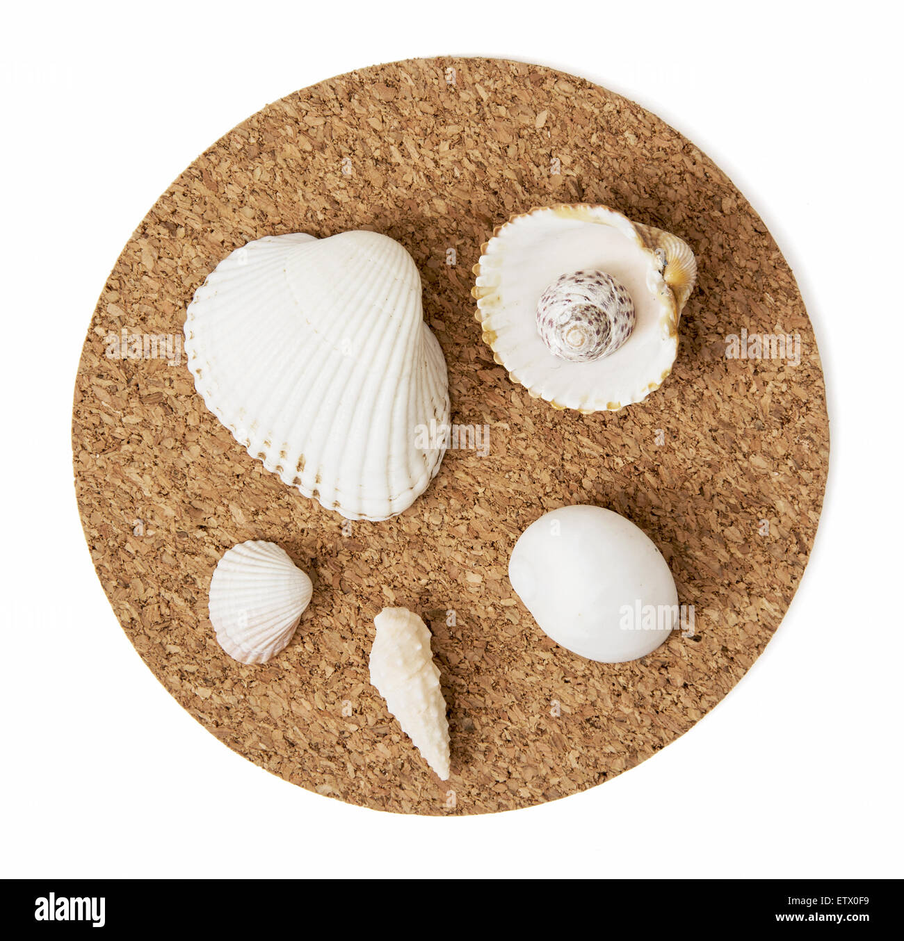 Sea shells mix on the circular cork base. Isolated Stock Photo - Alamy