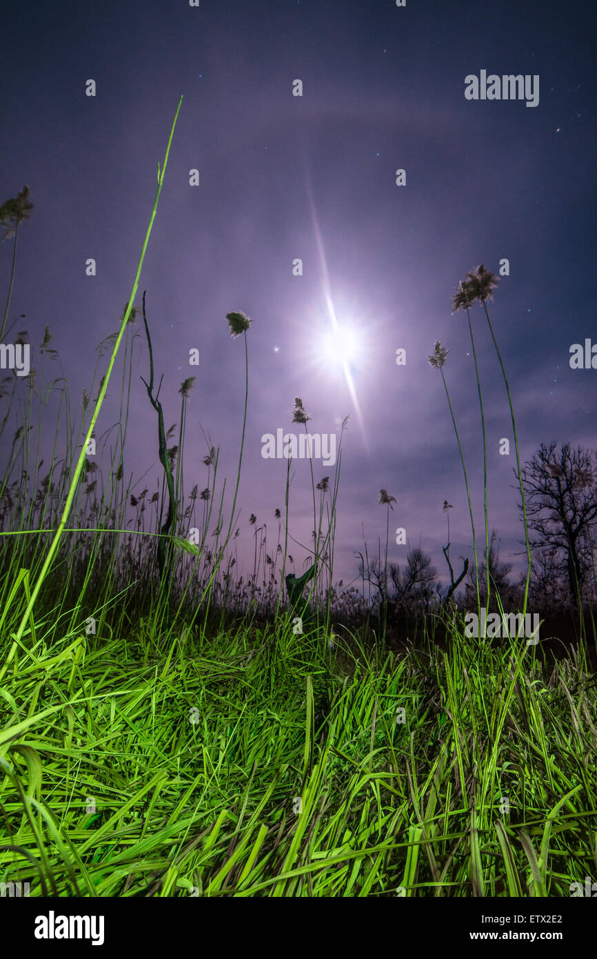 UfO ray of the unusual full moon halo - night mystical landscape ...