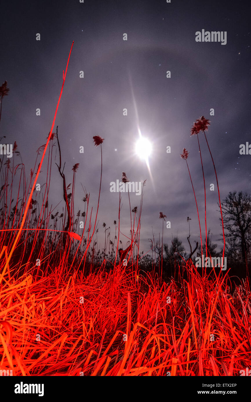 UfO ray of the unusual moon - night mystical landscape background Stock ...