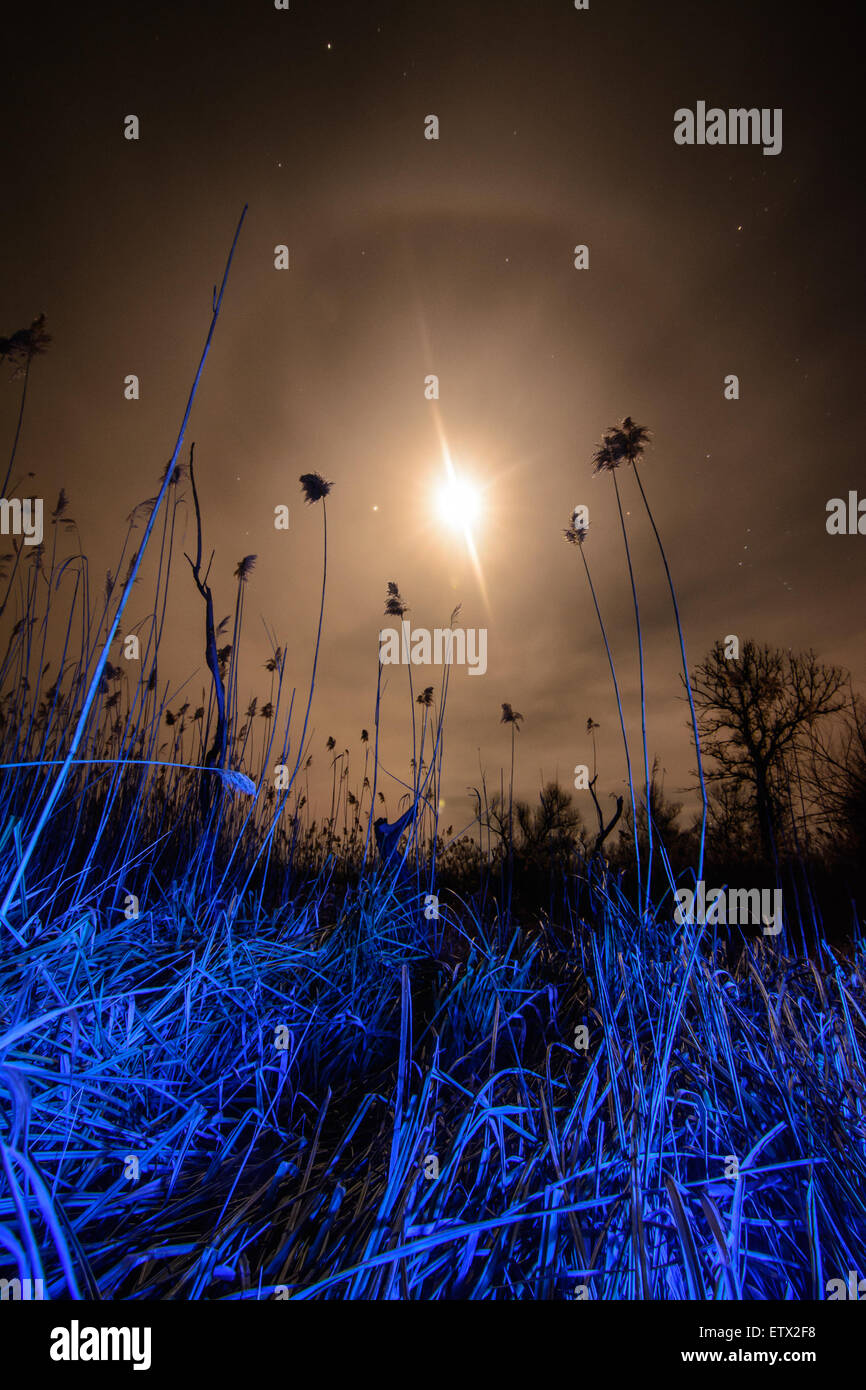 UfO ray of the unusual moon - night mystical landscape background Stock ...