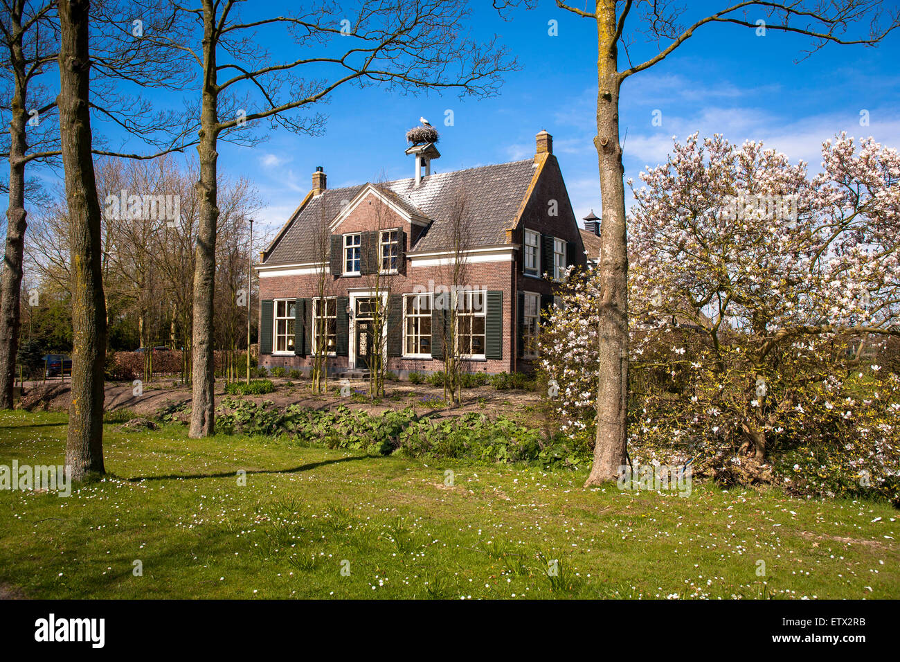 Storc hi-res stock photography and images - Alamy