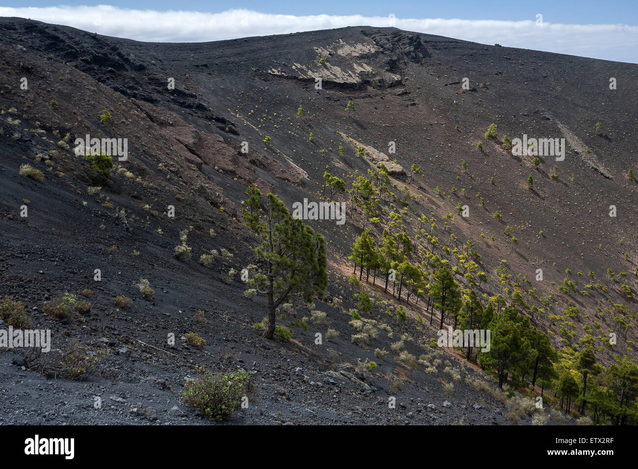 Crater of the volcano de San Antonio, near Fuencaliente, La Palma ...