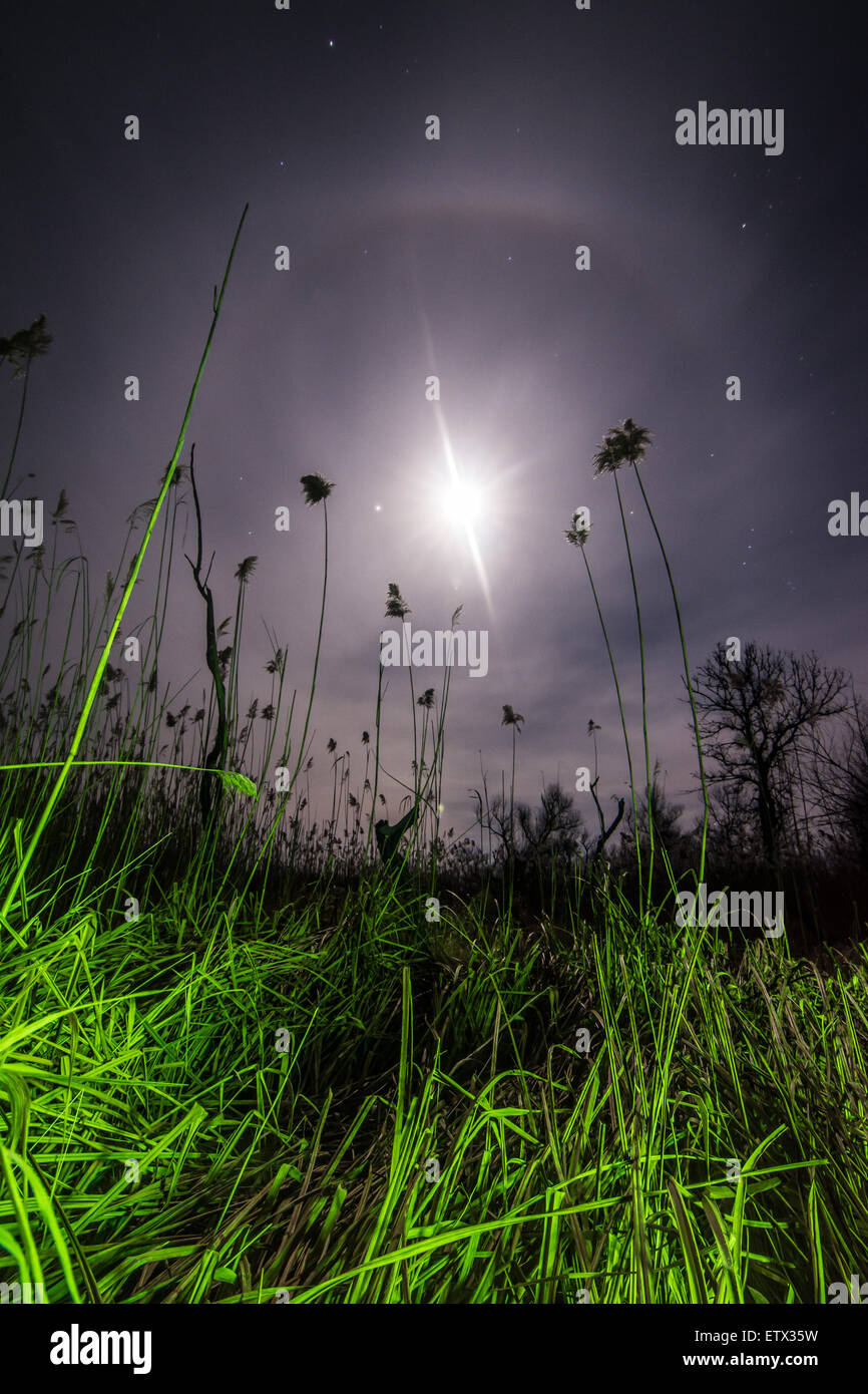UfO ray of the unusual moon - night mystical landscape background Stock ...