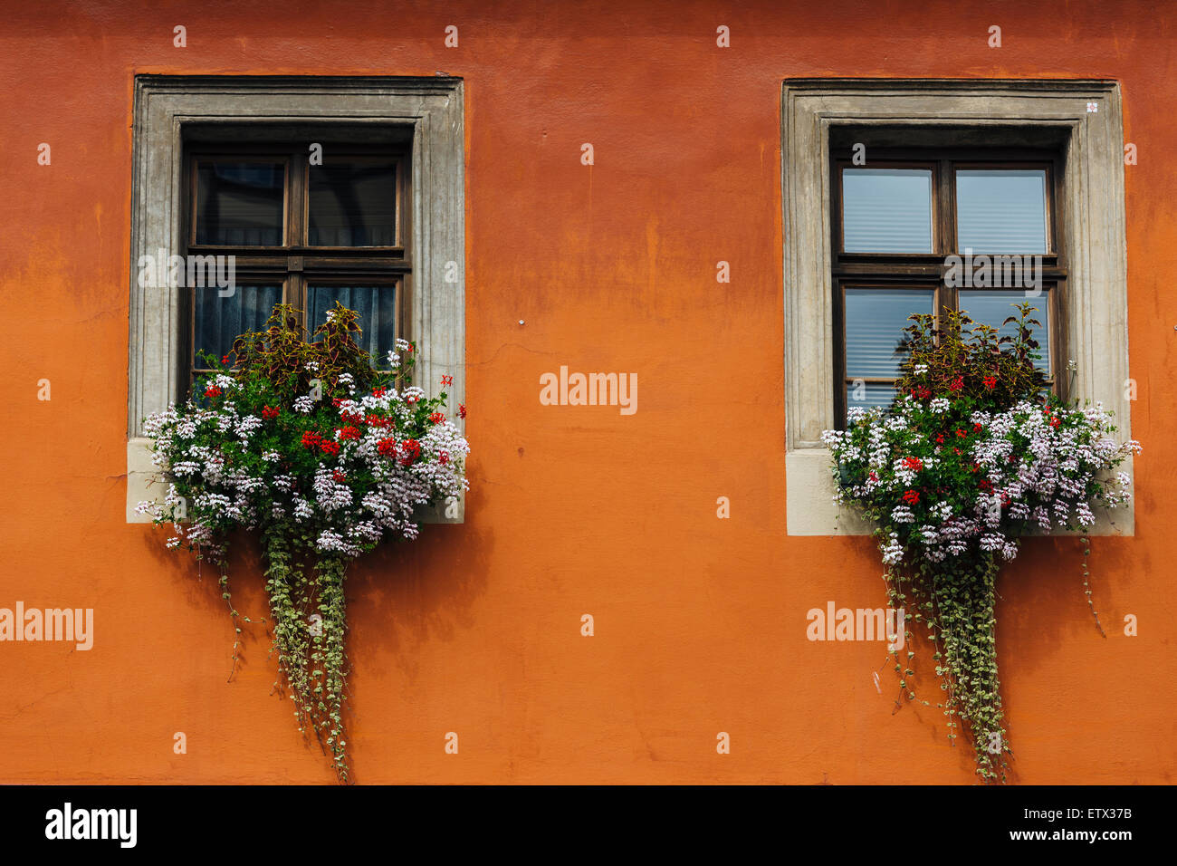 Close-up of windows with flower boxes on house in Dinkelsbuhl altstadt ...