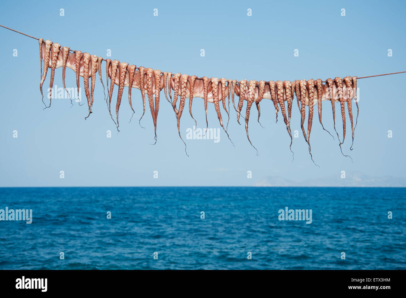 octopus drying on a line at Mandraki village, island of Nisyros ...
