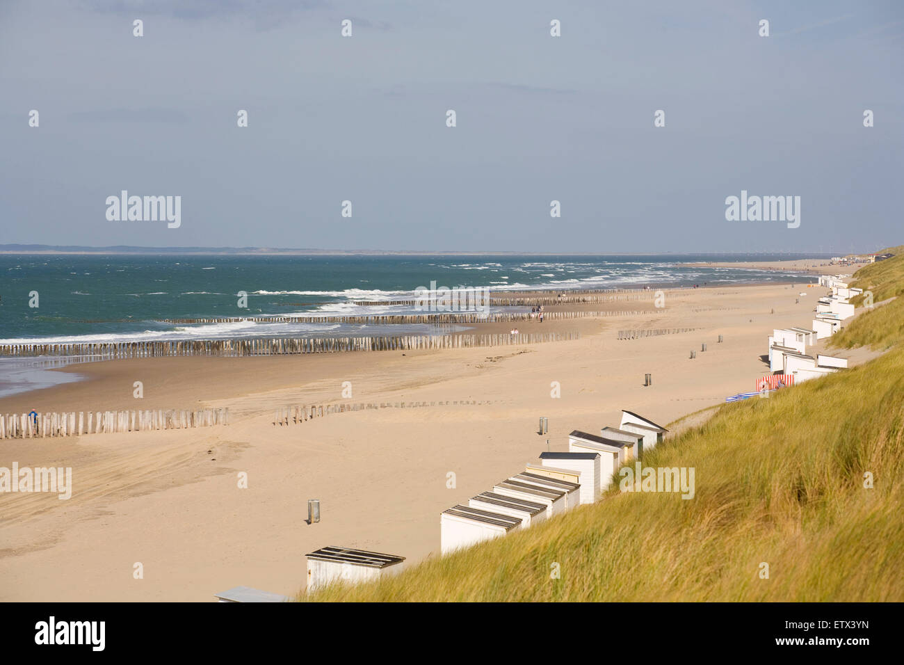 Europe, Netherlands, at the beach in Domburg on the peninsula Walcheren ...