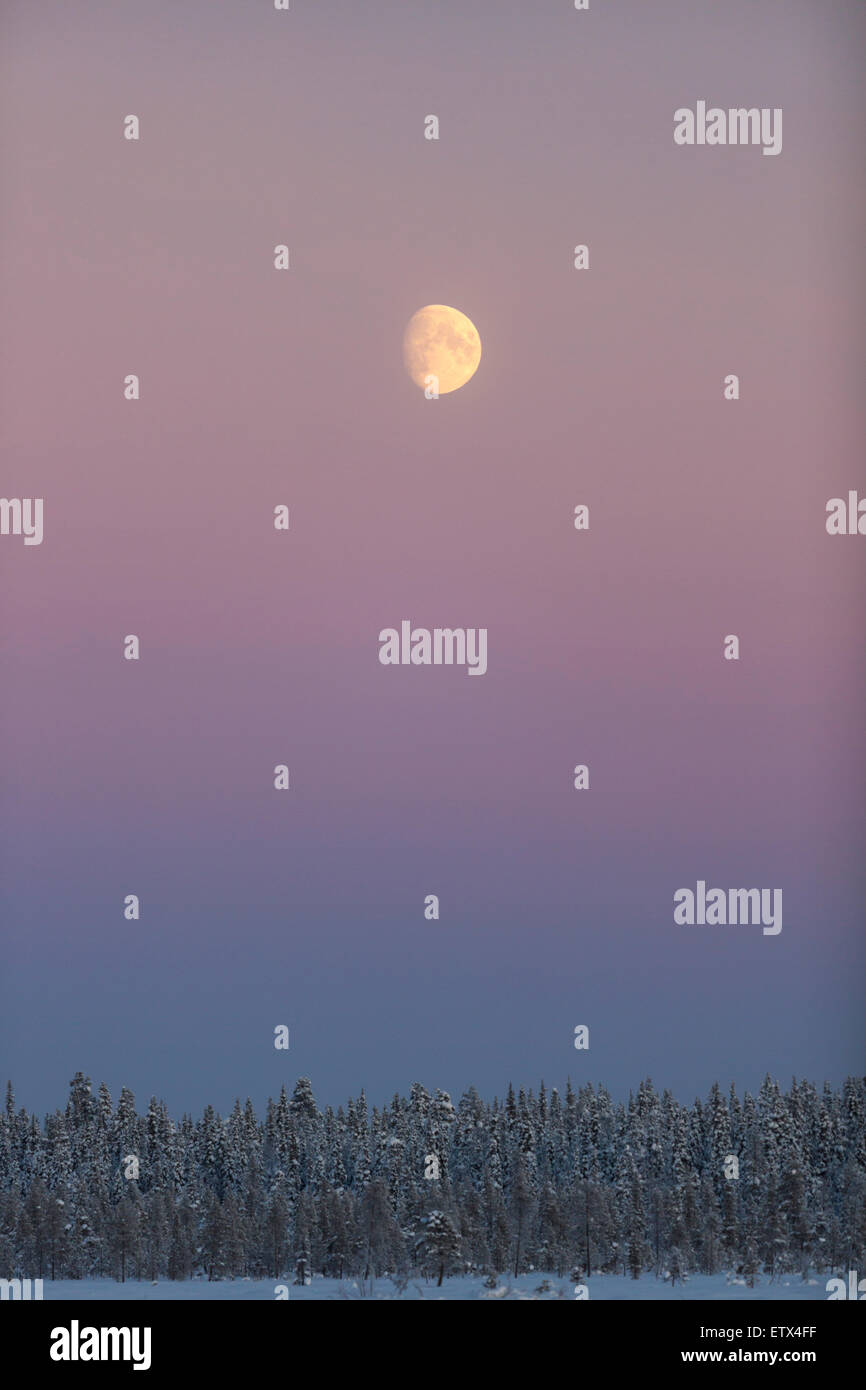 "polar night" hi-res stock photography and images - Alamy