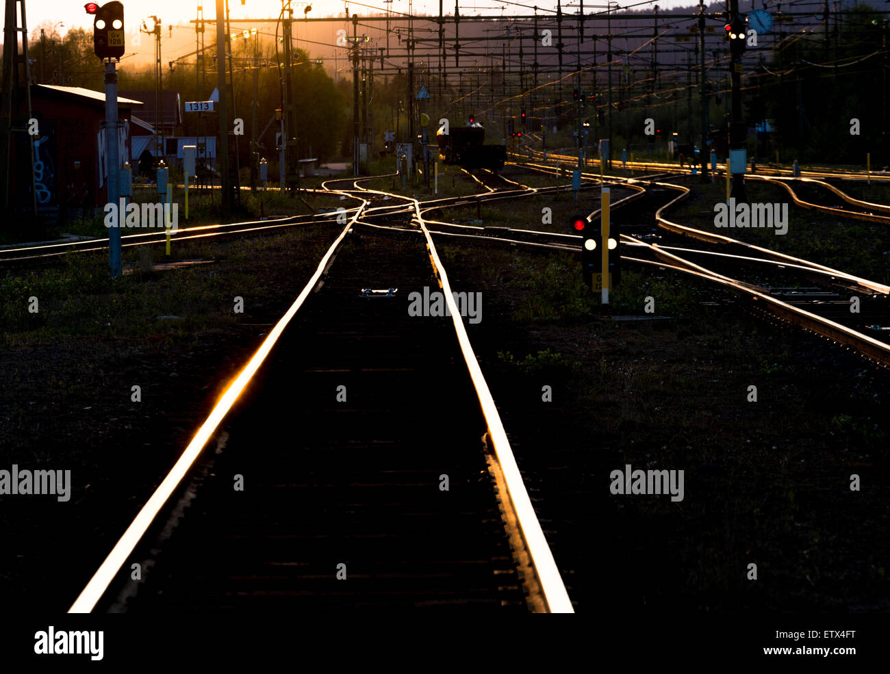 Evening sun reflecting in railroad tracks with traffic lights in ...
