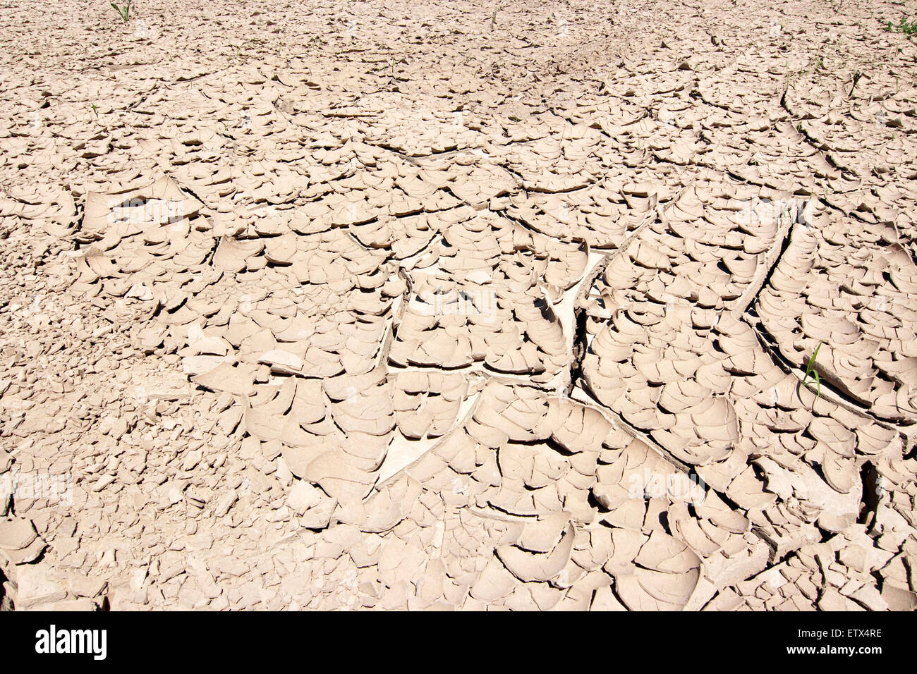 cracked ground - dry season Stock Photo - Alamy