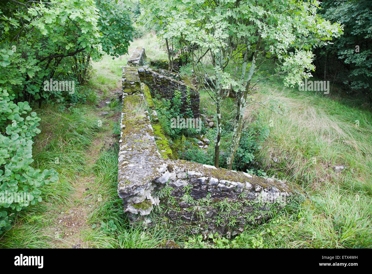 Trincea delle frasche hi-res stock photography and images - Alamy