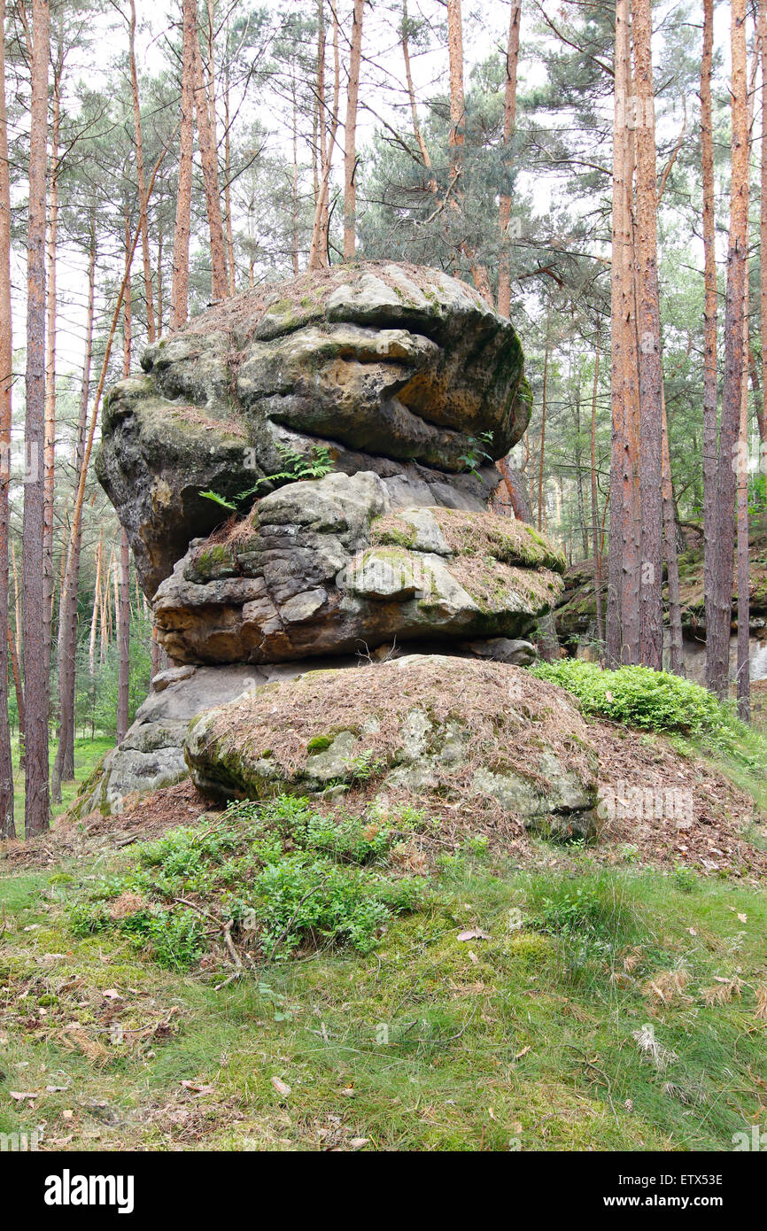 Formation forest hi-res stock photography and images - Alamy