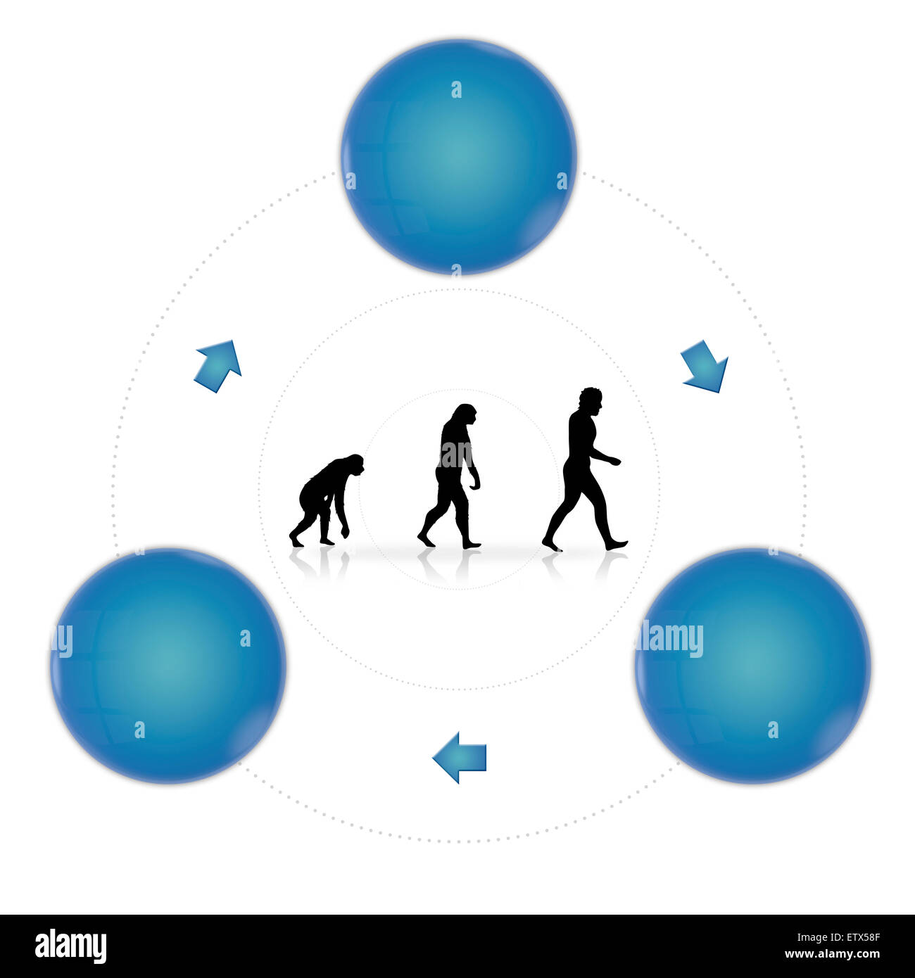 Progress as image of evolution. With blocks for your text Stock Photo ...