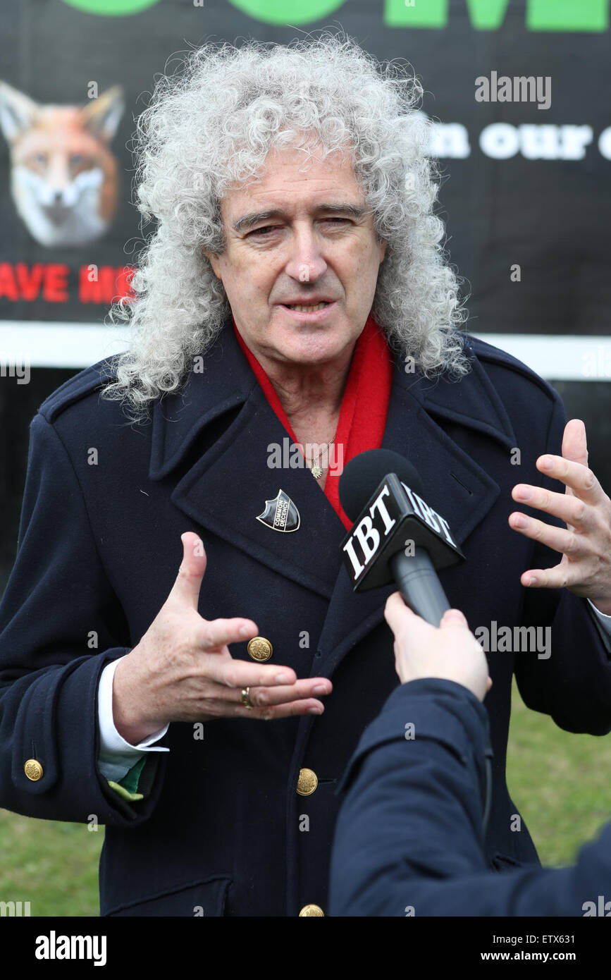Brian May unveils Campaign Billboard to launch his common decency ...