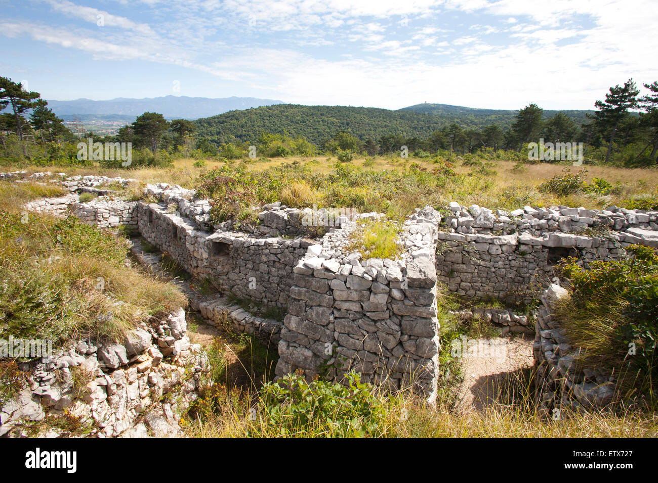 trincea of the brestovec mountain, area san martino del carso, sacrado ...