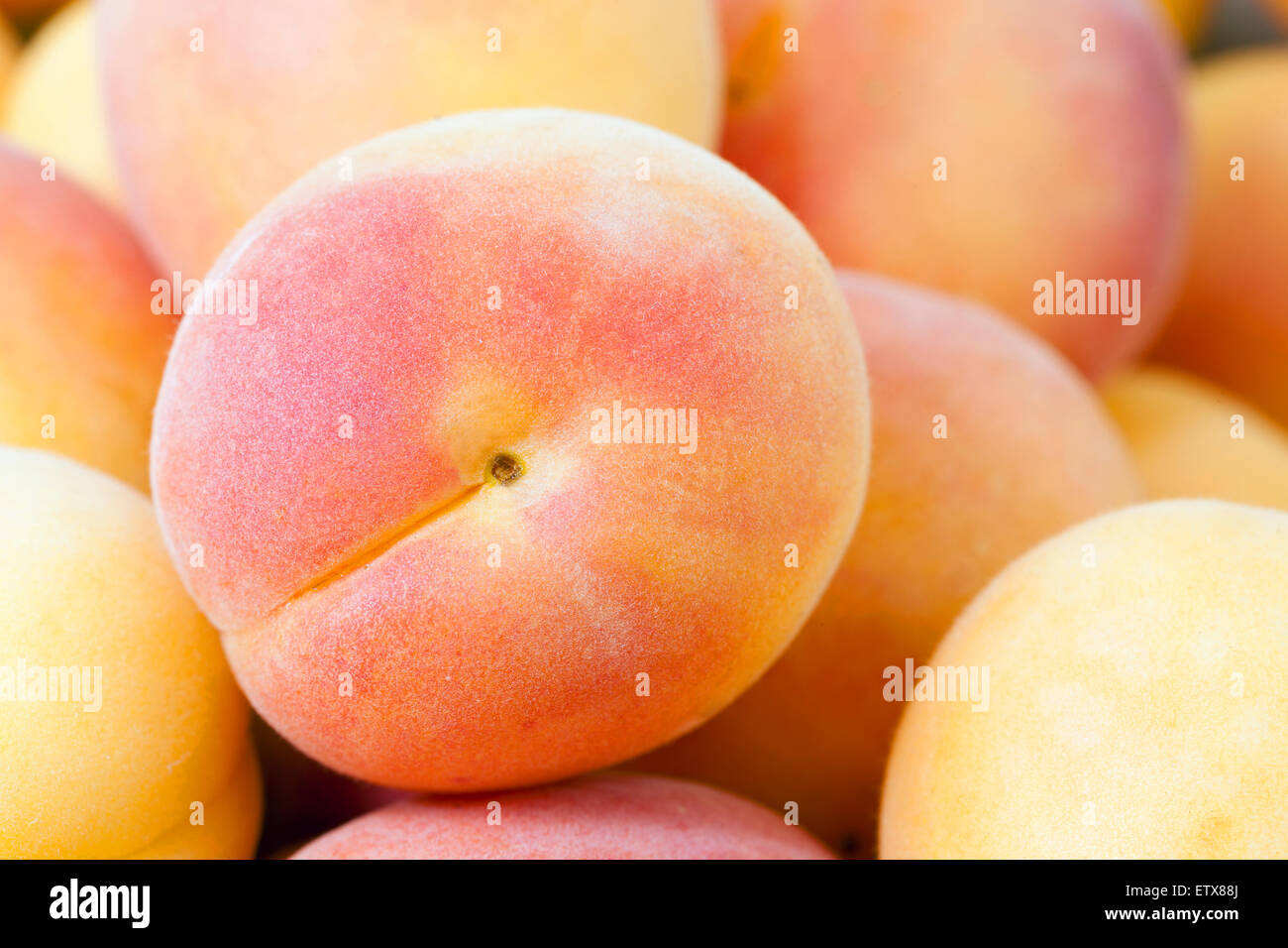 the piled mature apricots of light yellow color Stock Photo - Alamy