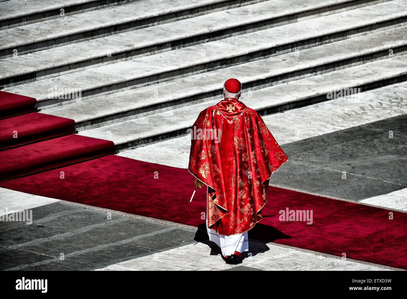 Palm Sunday Mass in St. Peter's Square Where: Rome, Italy When: 29 Mar ...