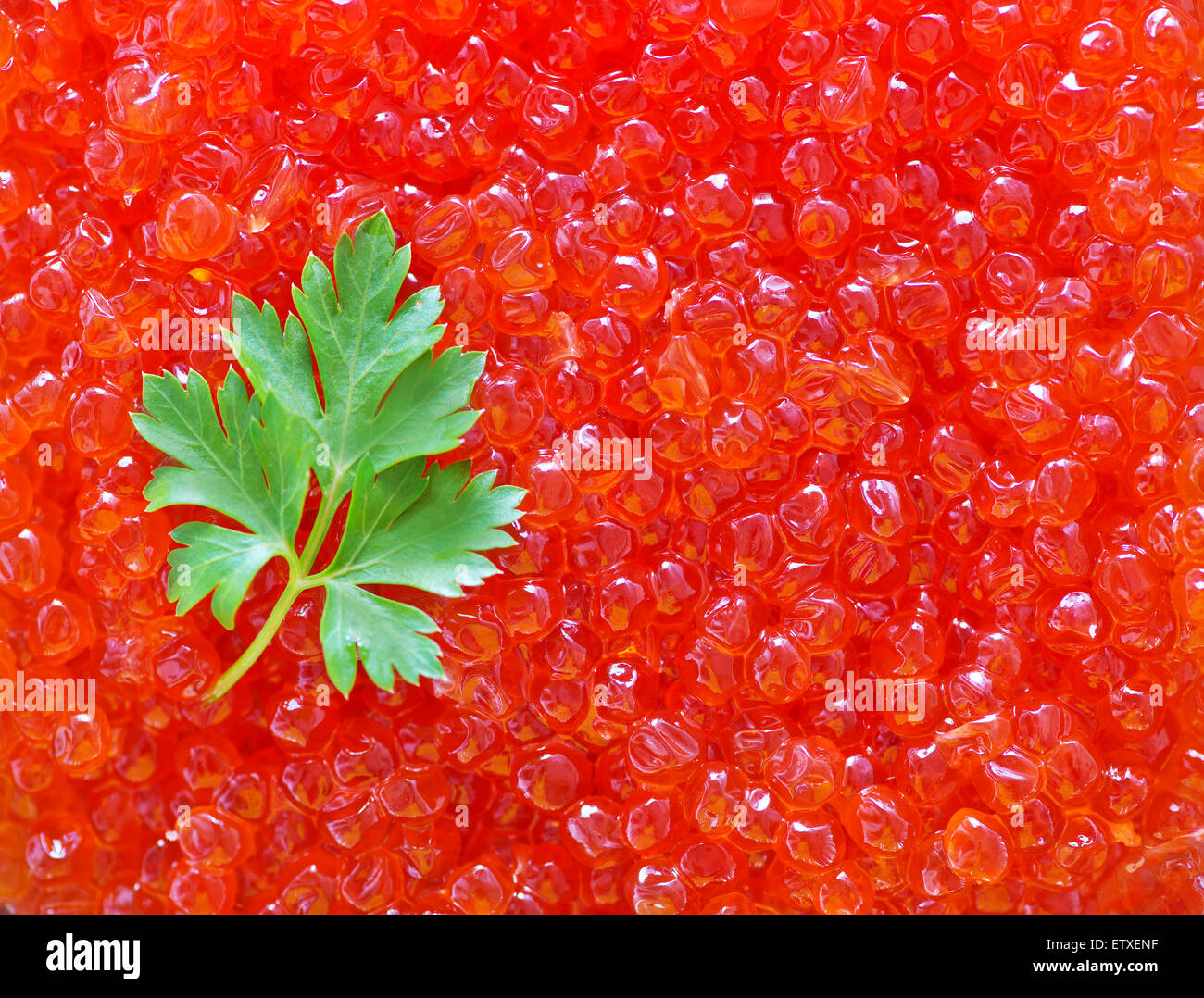 red salmon caviar, background from salmon caviar Stock Photo - Alamy