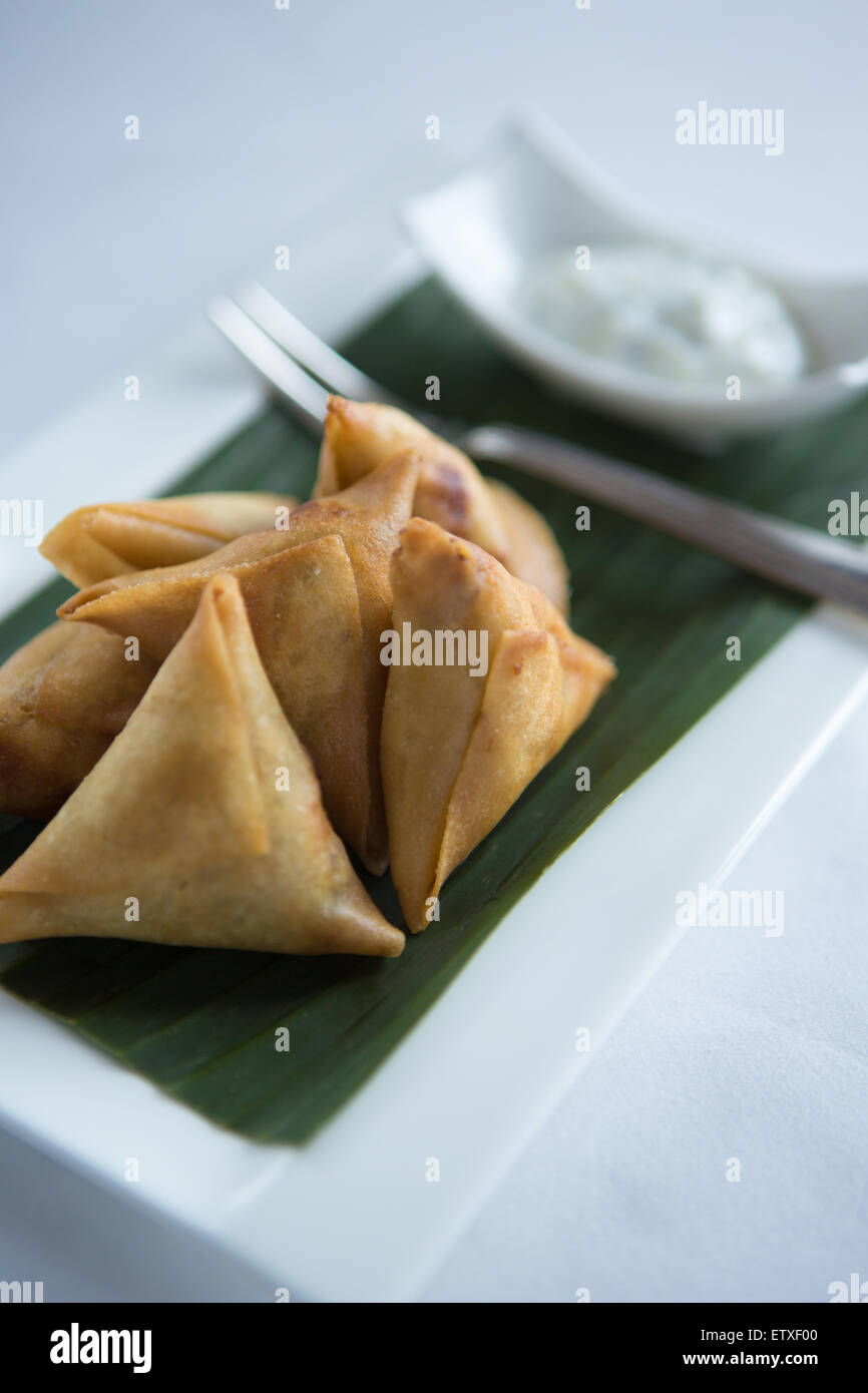 Crispy fried Chicken samosas with yogurt dipping sauce Stock Photo - Alamy