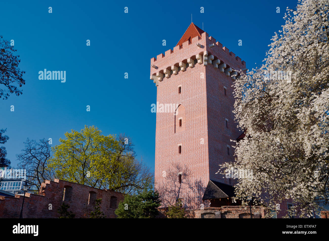 The tower of the royal castle in Poznan spring Stock Photo - Alamy
