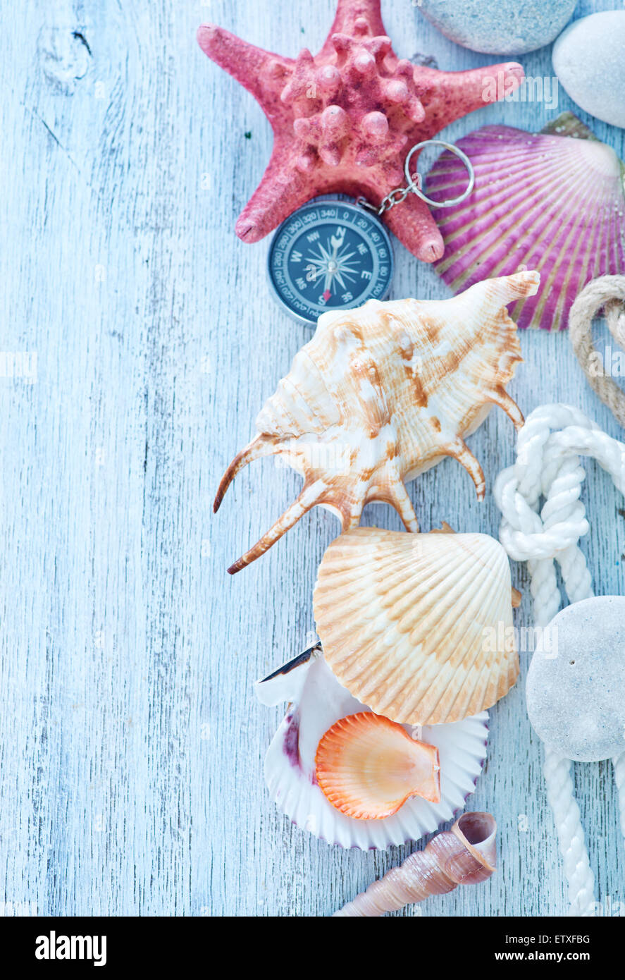 sea shells on the wooden boards, summer background Stock Photo - Alamy