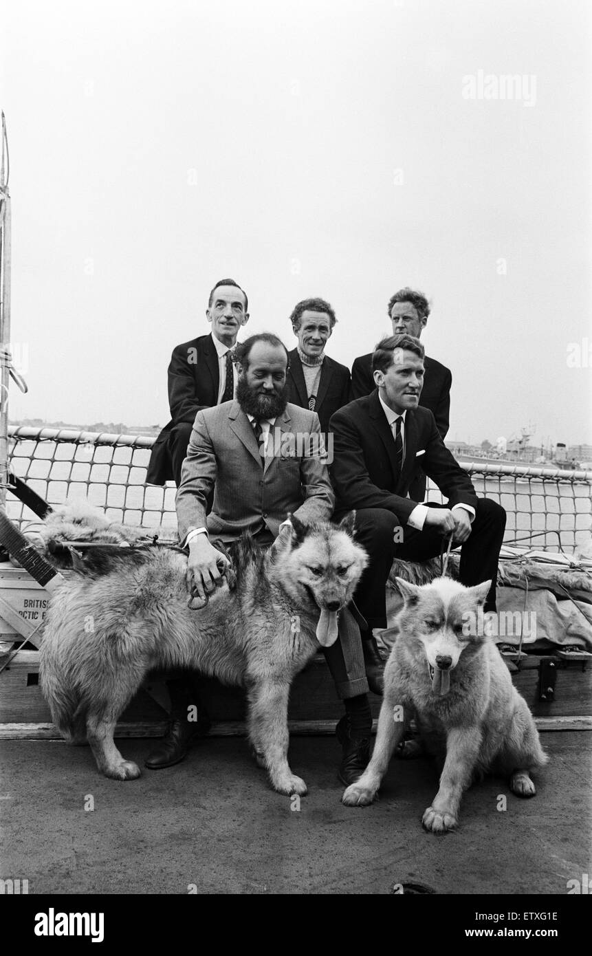 Dog led Black and White Stock Photos & Images - Alamy