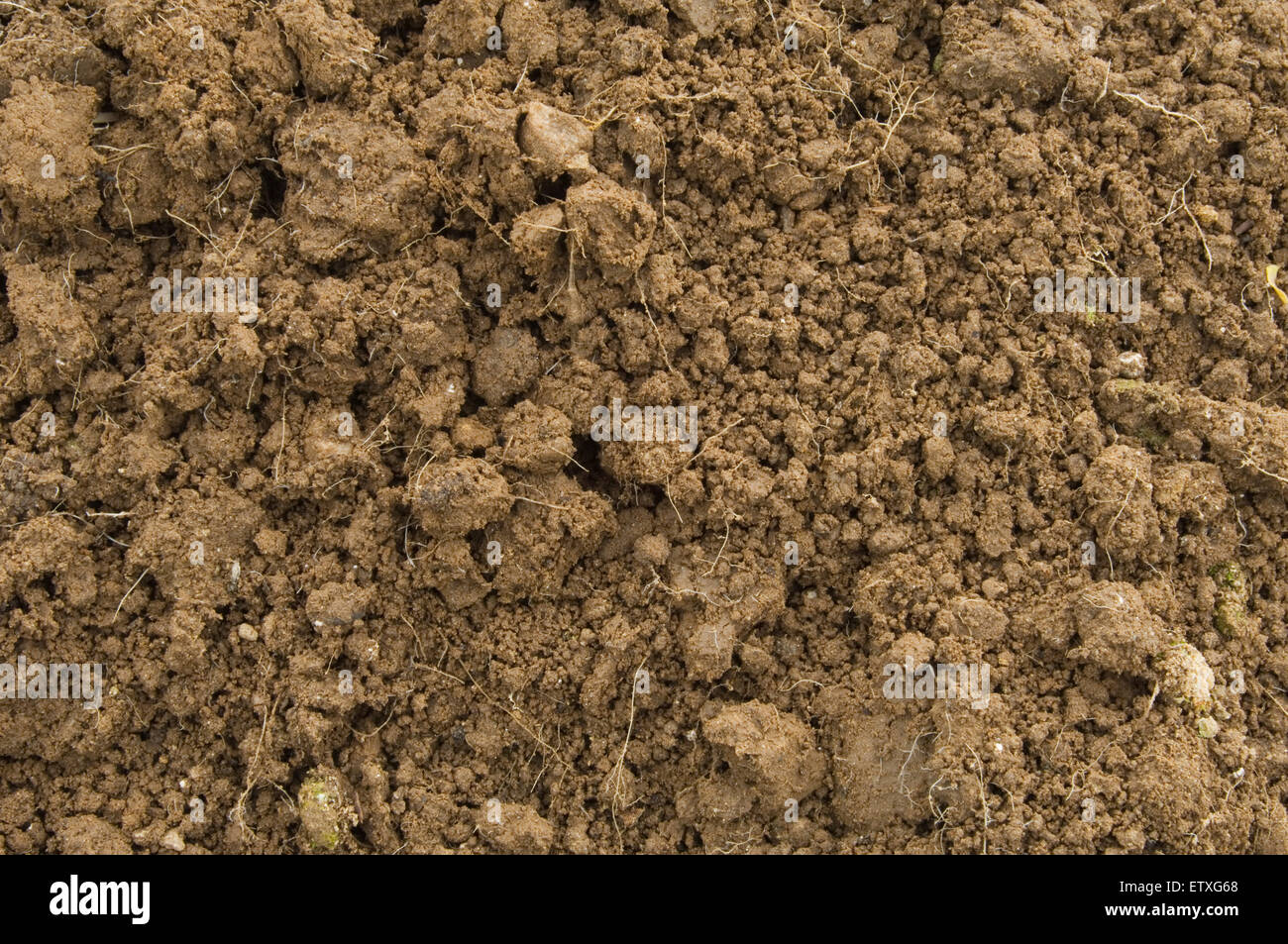 Minerals soil hi-res stock photography and images - Alamy