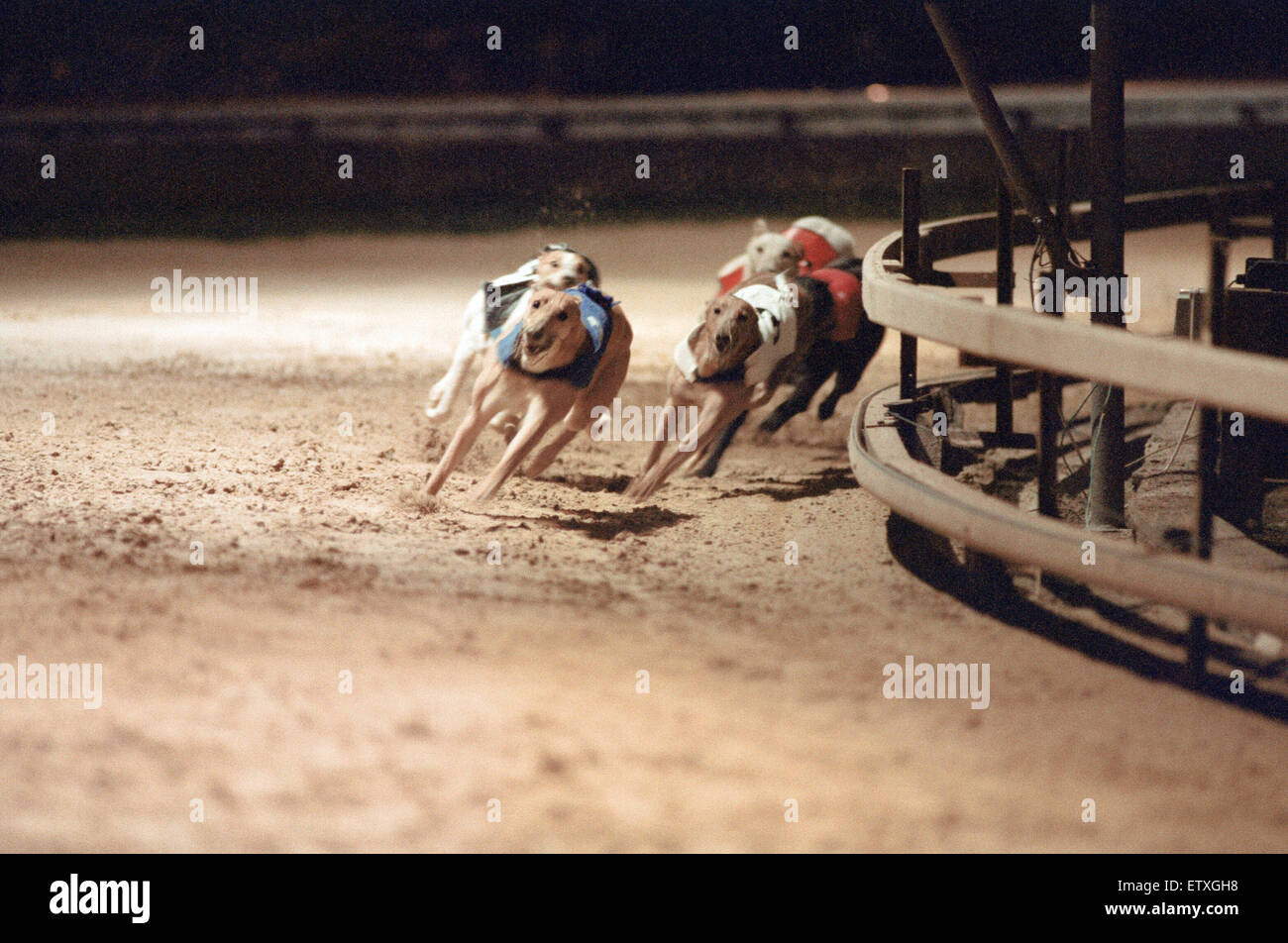 Greyhound racing track stadium hi-res stock photography and images - Alamy