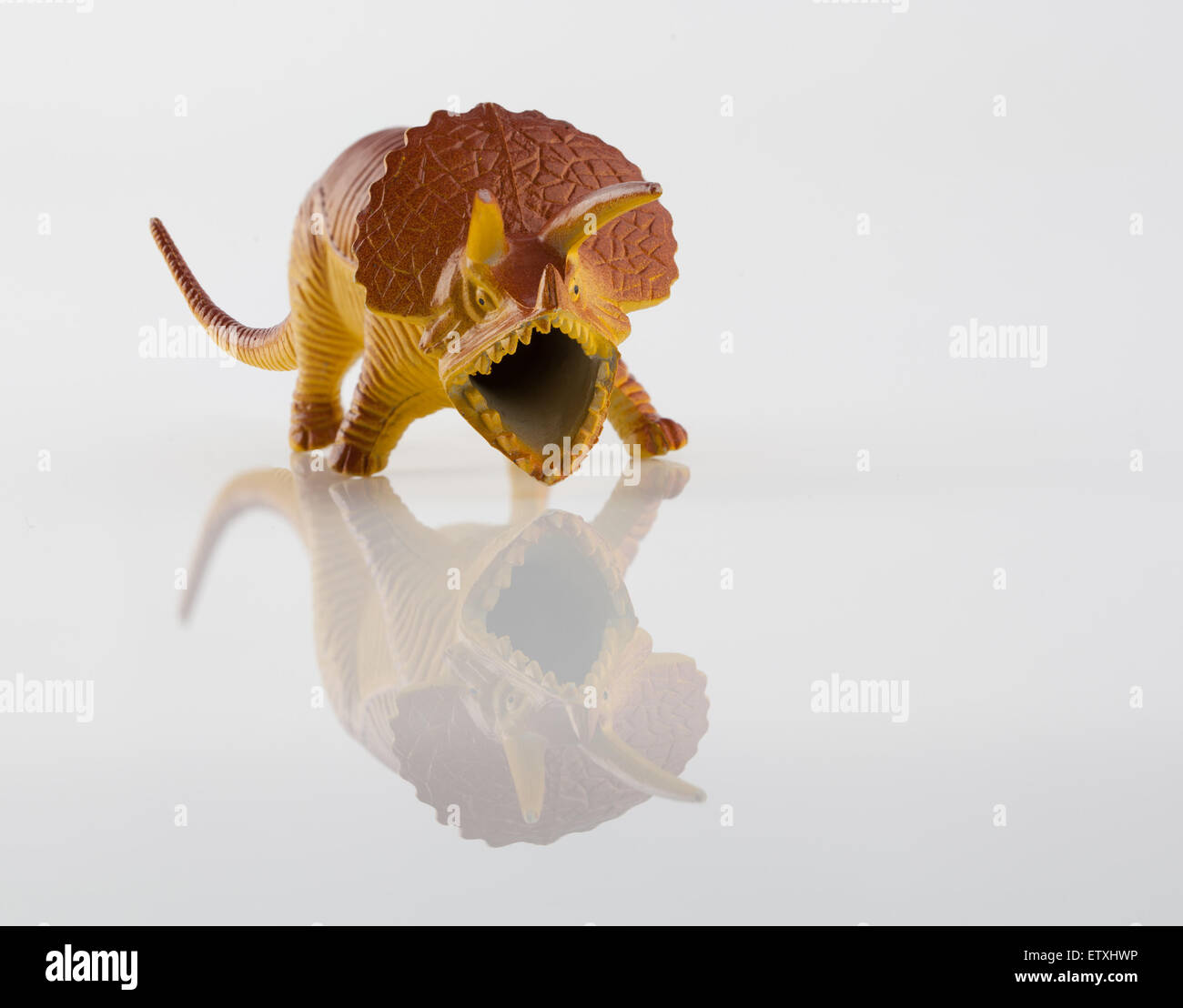 Angry animal isolated hi-res stock photography and images - Alamy
