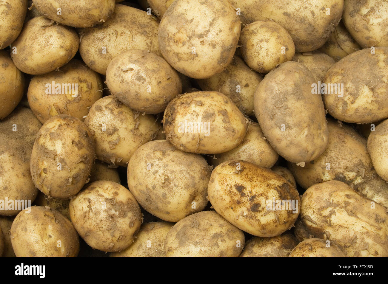 Farming scotland potatoes hi-res stock photography and images - Alamy