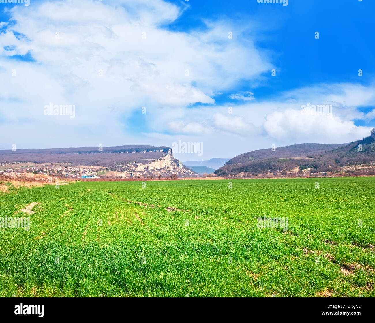 green field and blue sky in Crimea Stock Photo - Alamy