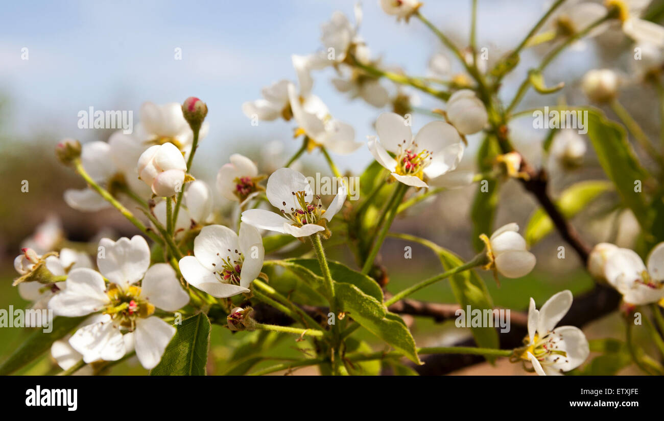 New blo hi-res stock photography and images - Alamy