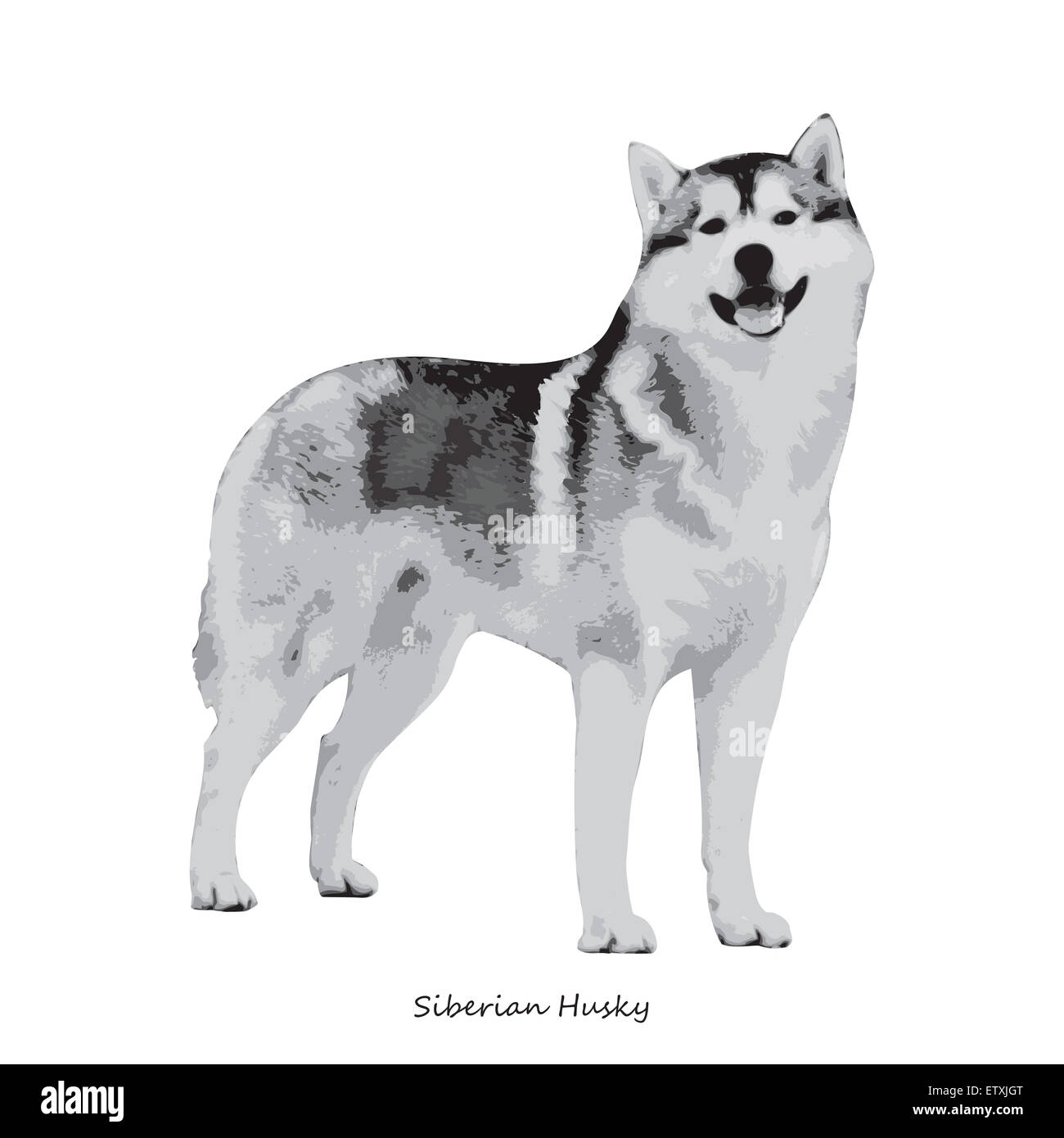 Dog full body drawing hi-res stock photography and images - Alamy