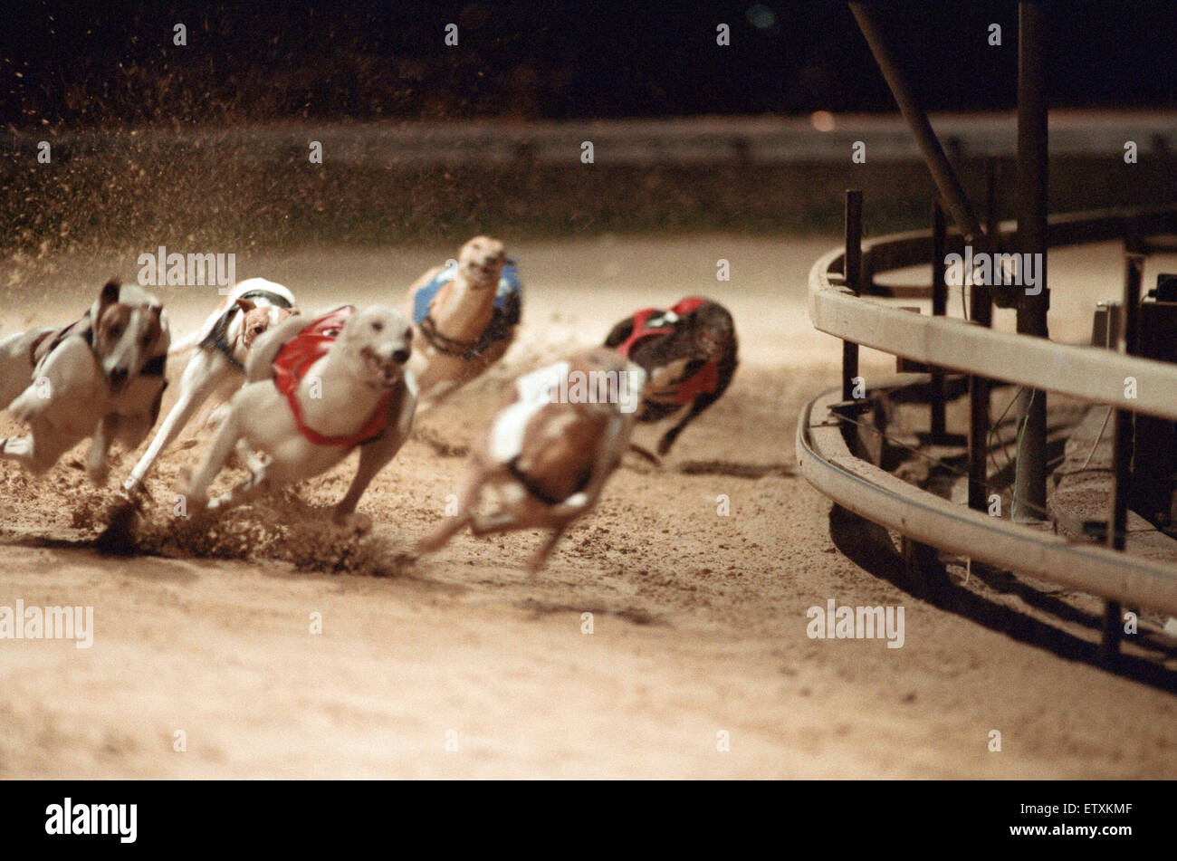 Greyhound racing track stadium hi-res stock photography and images - Alamy