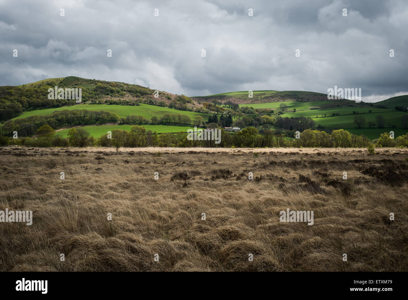 Cors caron nature reserve hi-res stock photography and images - Alamy