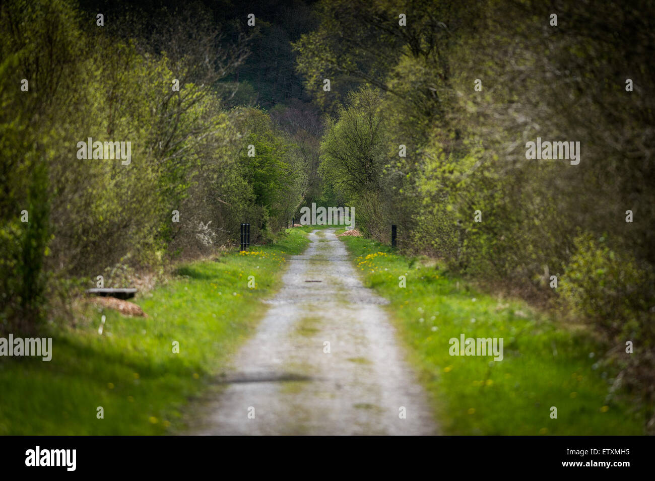 The old railway line through Cors Caron Nature Reserve, or Tregaron Bog ...