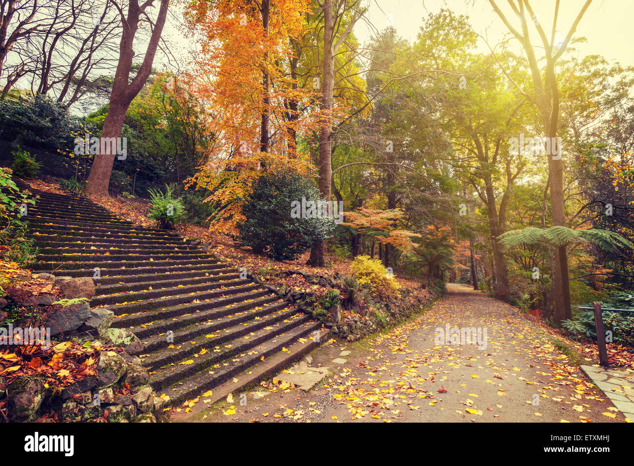 Garden stairway hi-res stock photography and images - Alamy