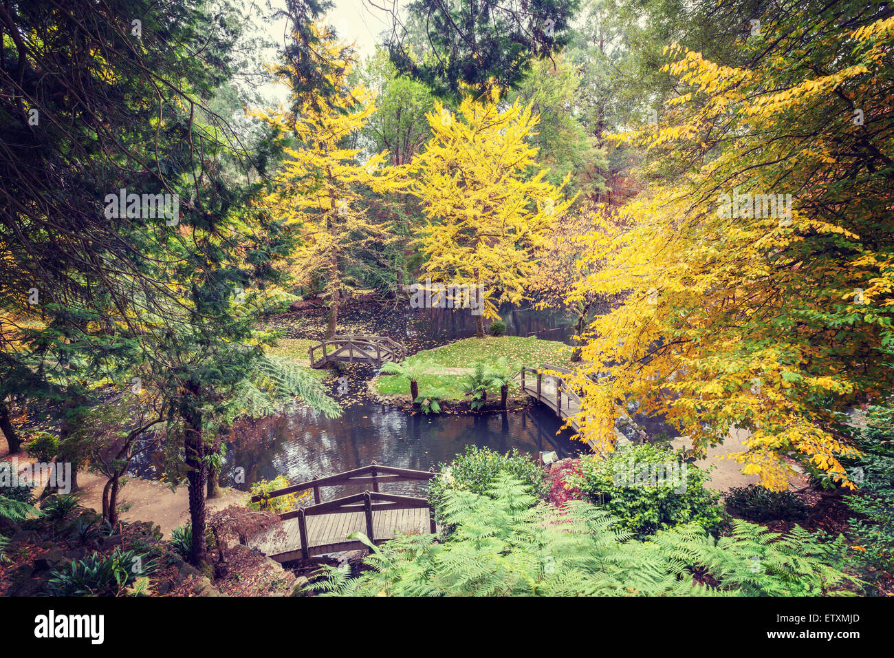 Beautiful garden pond surrounded trees hi-res stock photography and ...