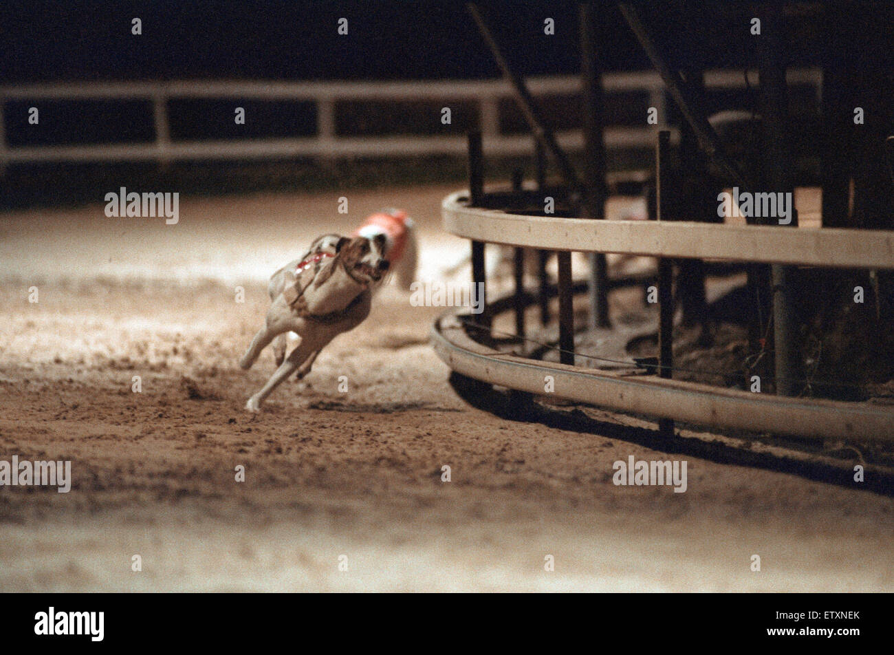 Greyhound racing cleveland park stadium hi-res stock photography and ...