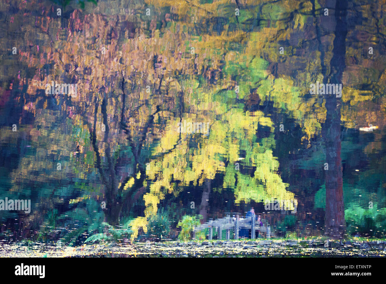 Reflections of bridge and golden trees in a pond. Looks like ...