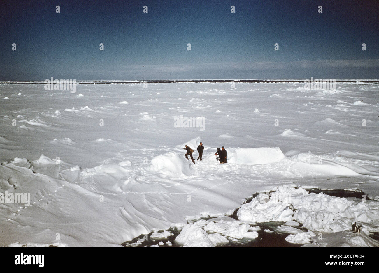 Trans-Antarctic Expedtion 1956. Explorers meet at South Pole. Members ...