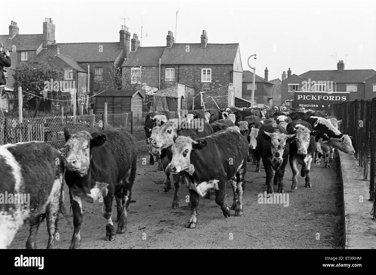 Banbury market Black and White Stock Photos & Images - Alamy