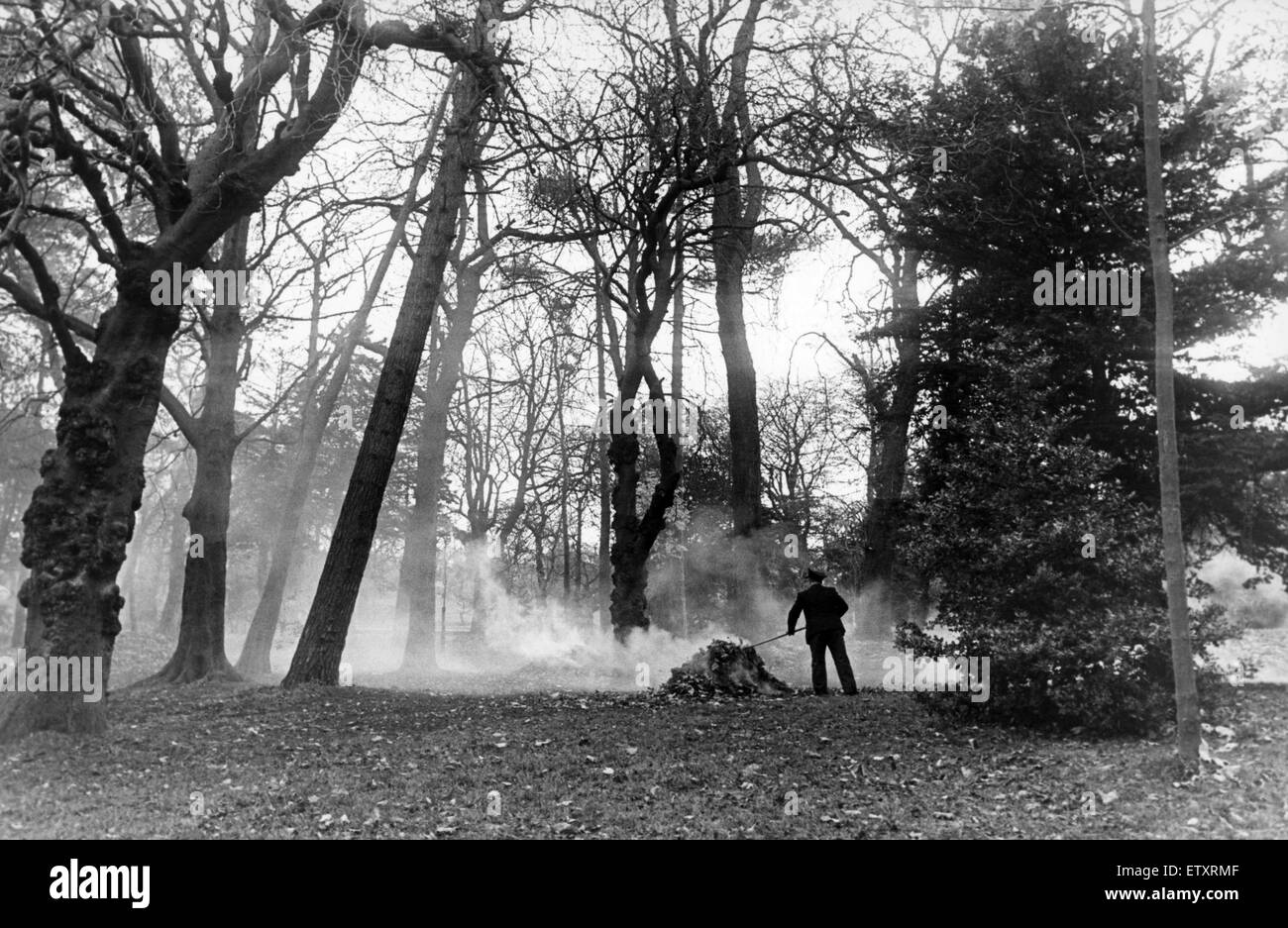 Pile of leaves 1980s hi-res stock photography and images - Alamy