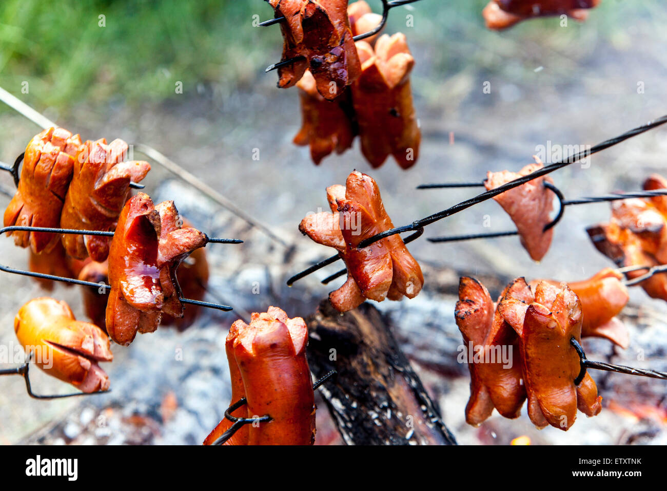 Sausage on stick over fire, bonfire party Stock Photo - Alamy